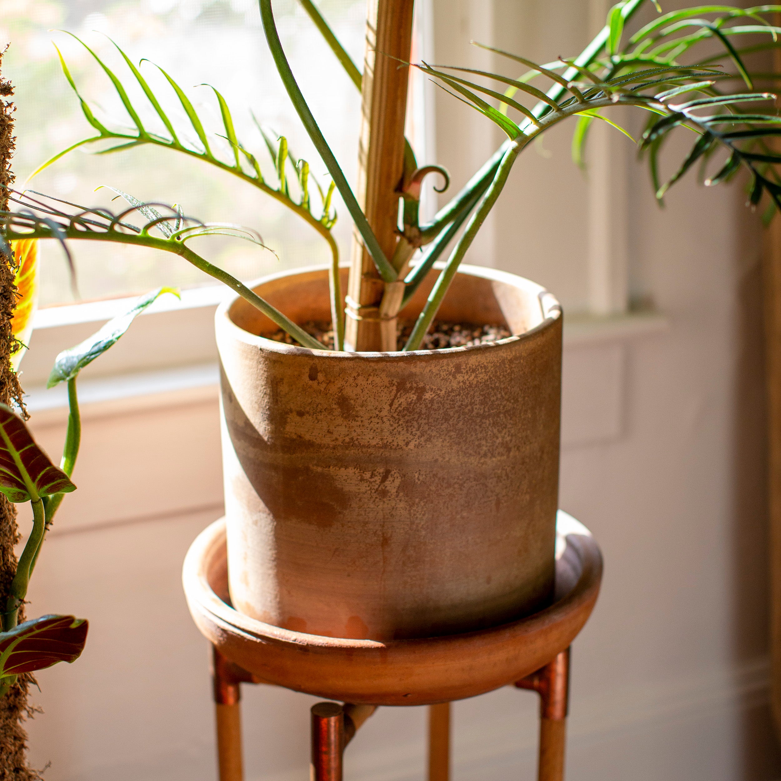 Deep Cylinder - Buff Clay – The Victorian Atlanta